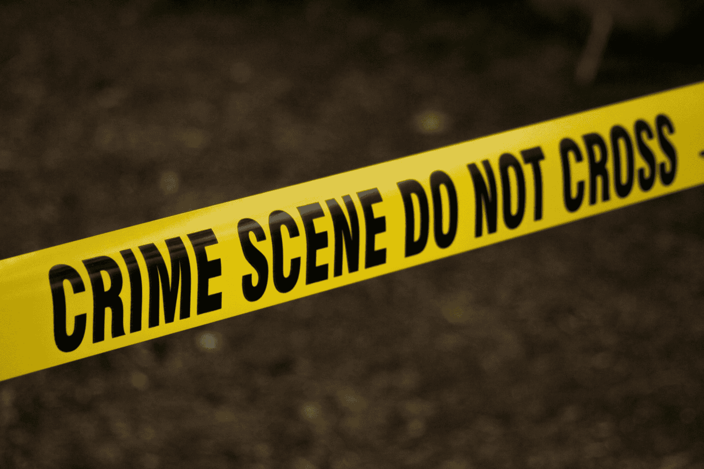 From Bloodstain to Breakthrough: The CSI Effect and the Art of Real ...